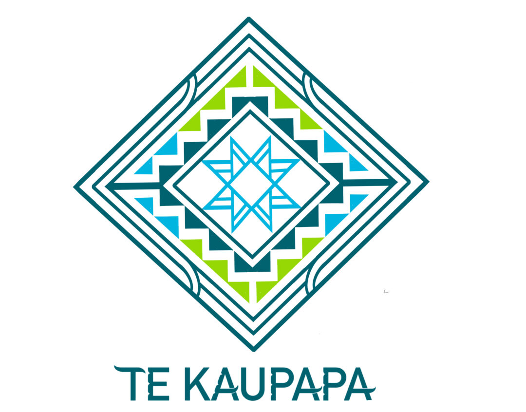 Te Kaupapa | The National Hauora Coalition