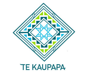 Te Kaupapa | The National Hauora Coalition
